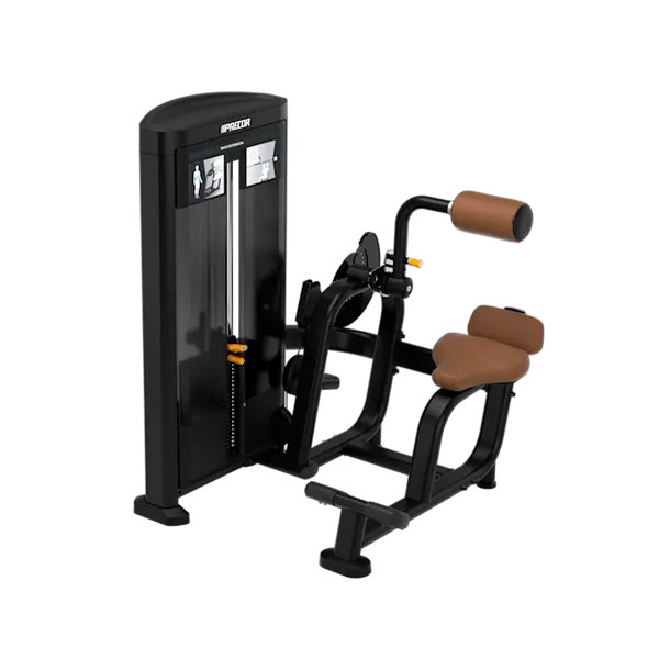 PRECOR BACK EXTENSION RSL0313 – WellnessLyfstylInternational